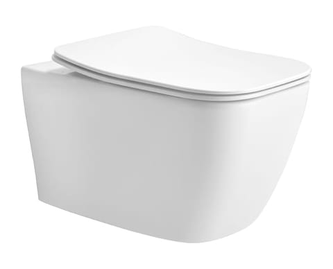 Cera P Trap With Duroplast Slim Soft Close Seat Cover Snow White, S1044147