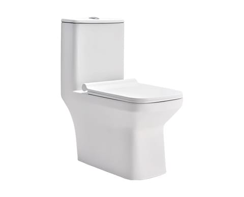 Cera Rimless One Piece EWC, A1014110