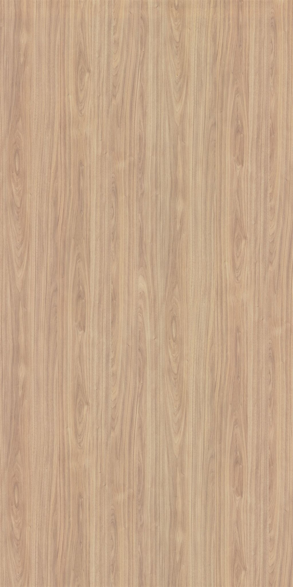 Merino Glaston Walnut
